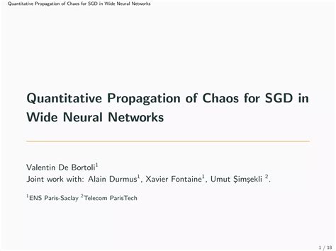 Quantitative Propagation Of Chaos For Sgd In Wide Neural Networks Ppt