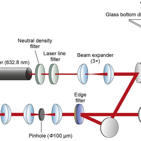 Schematic Diagram Of The Laboratory Built Raman Microscope That We Used Download Scientific