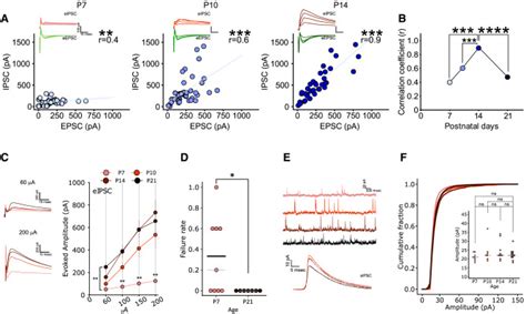 Excitatory And Inhibitory Synapses Show A Tight Subcellular Correlation That Weakens Over