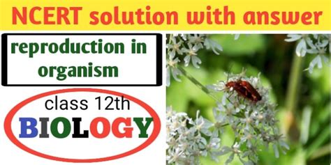 Ncert Solutions For Class 12th Biology Chapter 1 Cbse Exams Biologysir