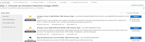 Cloud Computing Using Amazon Ec2 Web Service Tutorial