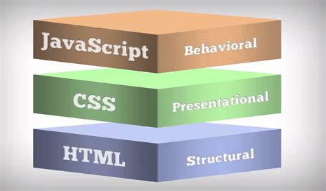 HTML là gì và tại sao nó quan trọng với website