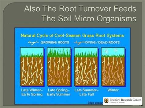 Cover Crops Compost And No Till A Formula For Good Soil Health Ppt