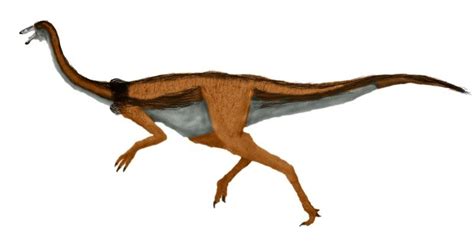 Gallimimus Pictures And Facts The Dinosaur Database
