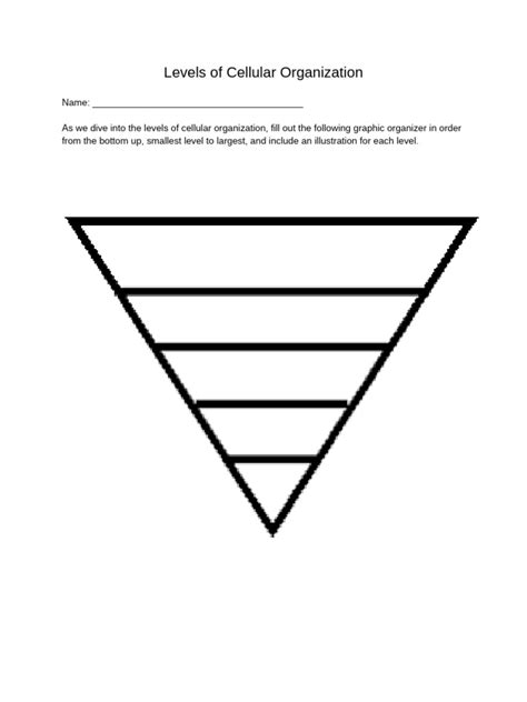 Levels Of Cellular Organization Pdf
