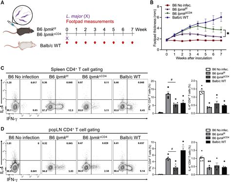 Inositol Polyphosphate Multikinase Regulates Th1 And Th17 Cell Differentiation By Controlling