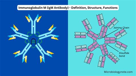 Fermentation Media Media Used For The Growth Of Microorganisms In