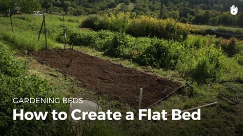 What Is Flat Nursery Bed At Charles Bolden Blog