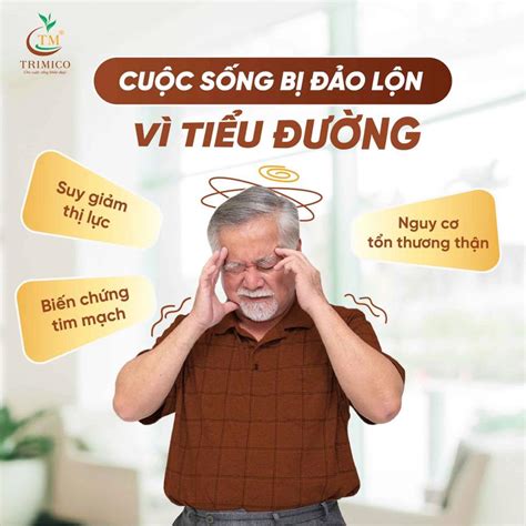 Sâm Ngọc Linh Triết Minh Trimico Tam Ky