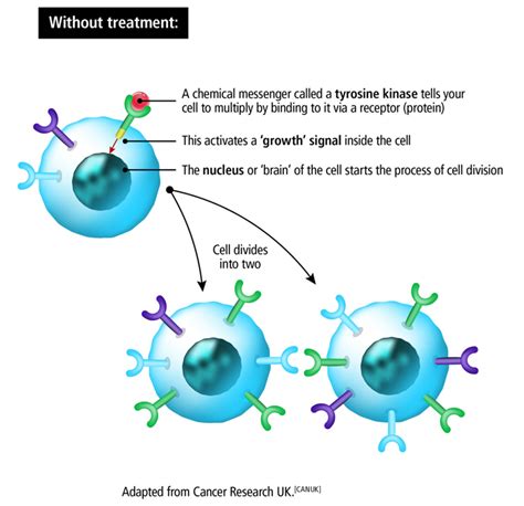 Come Funziona Un Tki Cml Life