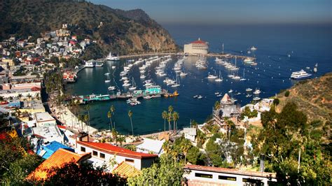 Santa Catalina Island Hotels Compare Hotels In Santa Catalina Island