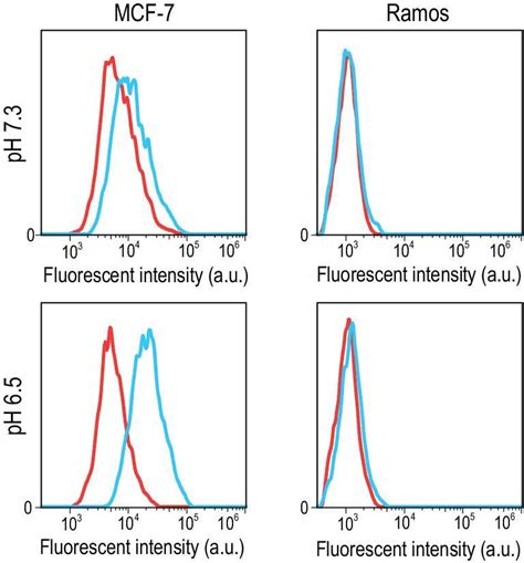 Engineering G Quadruplex Aptamer To Modulate Its Binding Specificity Pmc