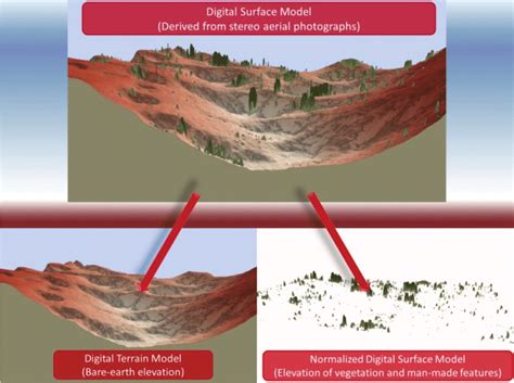 Digital Surface Model And Digital Terrain Model Download Scientific Diagram