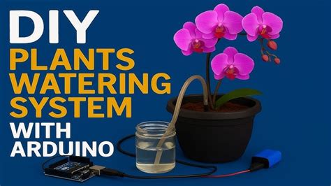 How To Make An Automatic Plant Watering System Diy Guide My Backyard