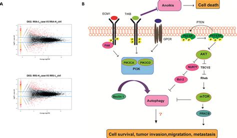 Transcriptome Expression Profiling Of The A H A L S H And S L