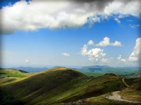 Toate Directiile Pasul Valcan Herculane Cabana Buta