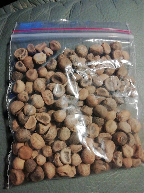 Hey Do These Contain Lsa They Were Sold As Hbwr But The Package Said