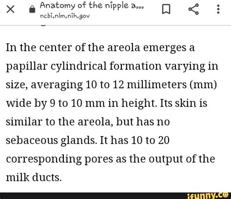 Anatomy Of The Nipple A Anatomy Q In The Center