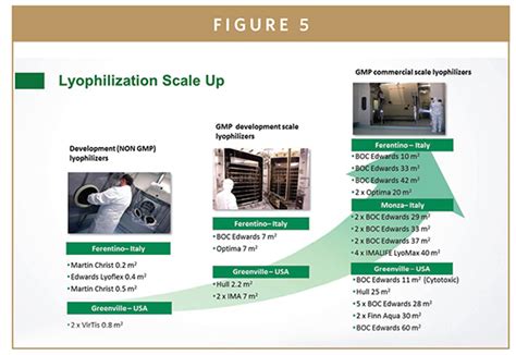 Lyophilization Lyophilization Cycle Development Lessons Learned