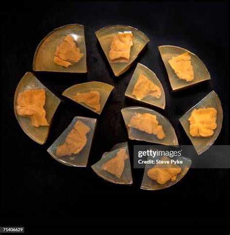 Albert Einsteins Brain On Display