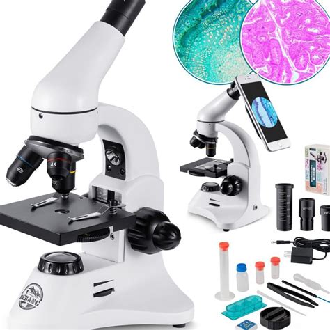 Diferencias Entre Microscopio Simple Y Compuesto ¿cuál Elegir