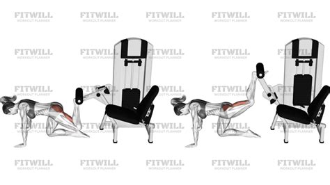 Sentadilla Hack Vertical Inversa Con Palanca Guía De Ejercicios Video