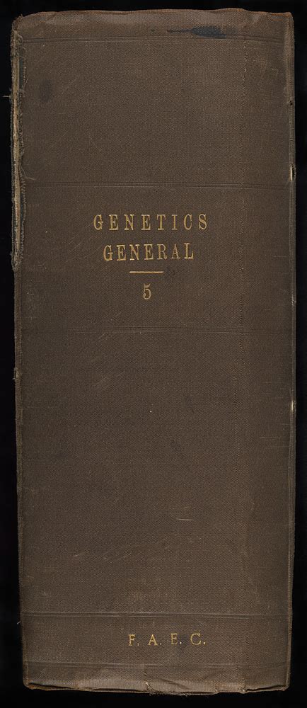 About Us Towards Dolly