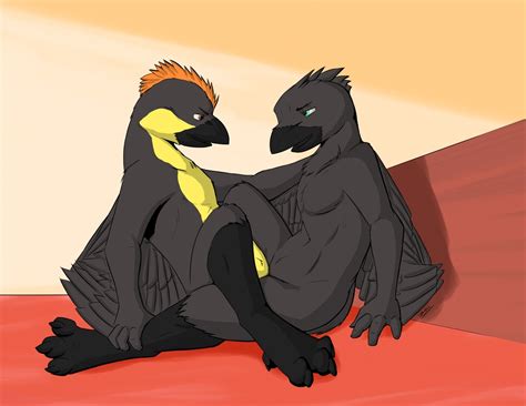 Rule 34 Animal Genitalia Anthro Avian Beak Bed Bird Cloaca Cloaca