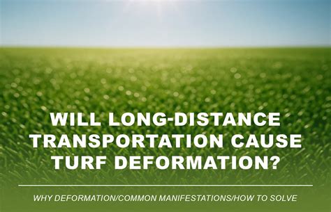 Will Long Distance Transportation Cause Turf Deformation Turf Export