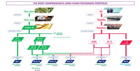 Bio Based Polyamides