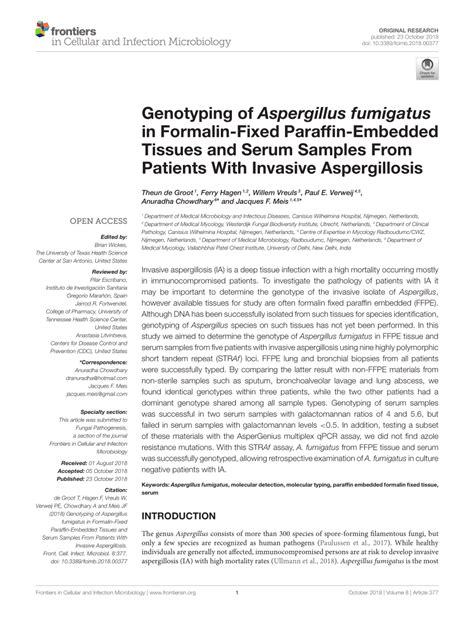 Pdf Genotyping Of Aspergillus Fumigatus In Formalin Fixed Paraffin Embedded Tissues And Serum