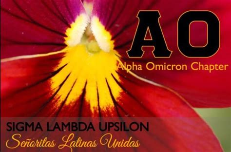 Sigma Lambda Upsilon Alpha Omicron Chapter Storrs Ct