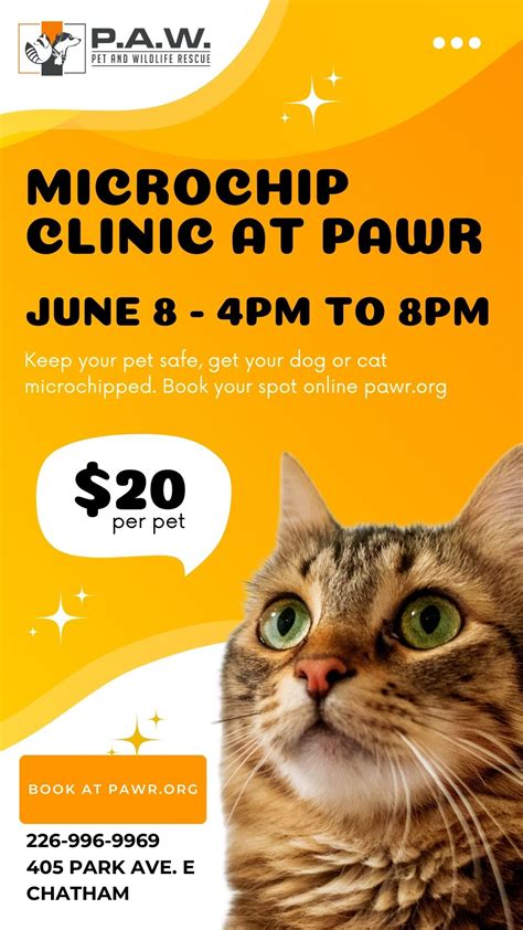 Events For September 2025 Paw Rescue