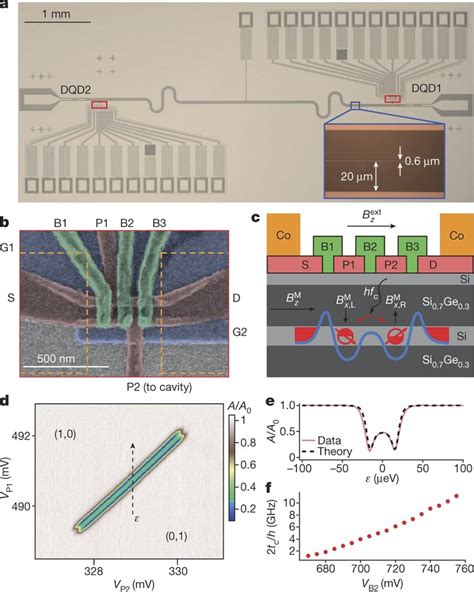 Spinphoton Interface A Optical Image Of The Superconducting Microwave Download Scientific