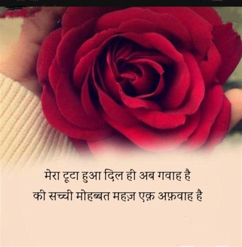 Pin By Tanjila 🌹♥️🌹 On Bollywood Actress Hot Photos Bollywood Actress Hot Photos Bollywood