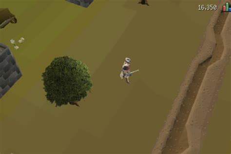 runescape private server client and source download services joey the