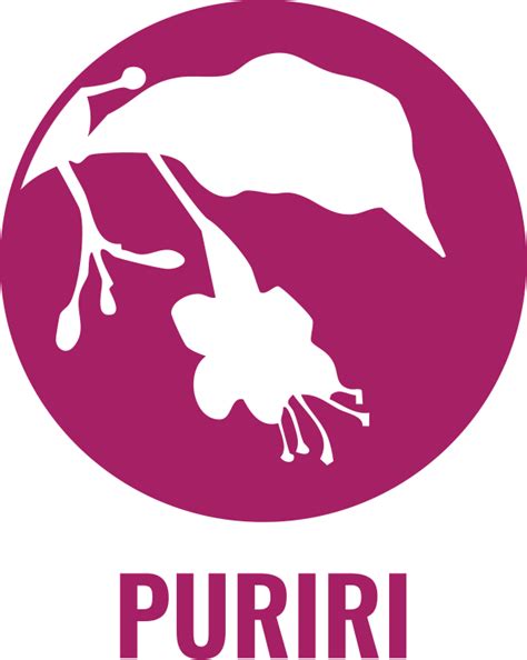 Our School Ponsonby Primary Ponsonby Primary School