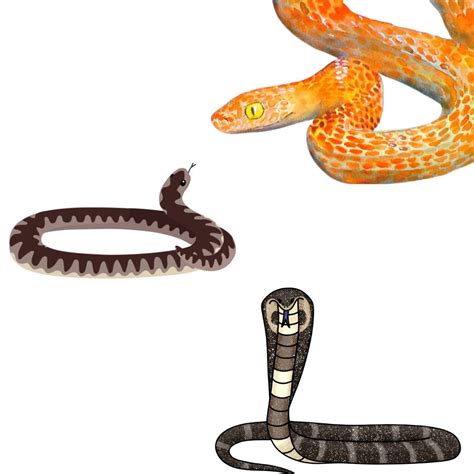 SketchMyPic How To Draw A Snake