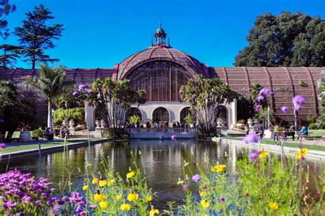 Botanical Garden And Lily Pond In Balboa Park San Diego California