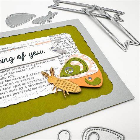Stevie Make A Moth Die Set Emily Moore Designs Cscs