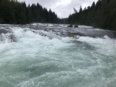 Nymph Falls After A Week Of Rain Rbritishcolumbia