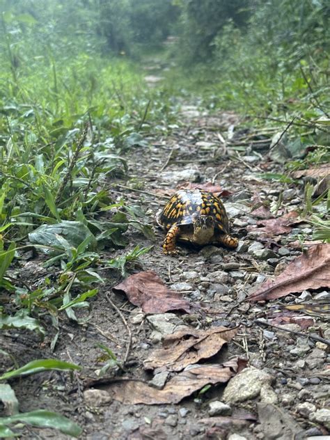 Jay Brewer On Linkedin Todays Training Partner On Ft Tower Trails Get Outdoors Surprises
