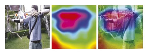 Visualization Of Discriminative And Complementary Branches A