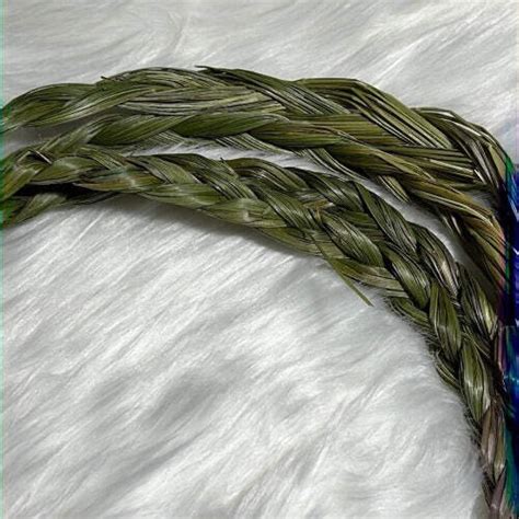 Braided Sweetgrass Bundles Vanilla Grass 18 Inches