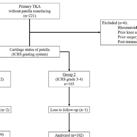 Patients Assignment According To Icrs Grading System Group 1 Patients