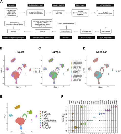 Dysfunctional Intercellular Communication And Metabolic Signaling