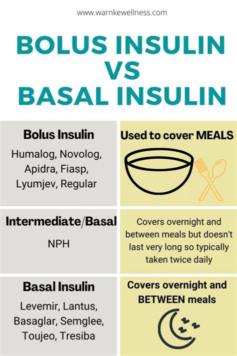 Fast Acting Insulin 101 7 Things You Need To Know