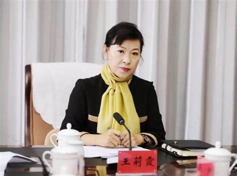 王丽霞道歉大山谷图库