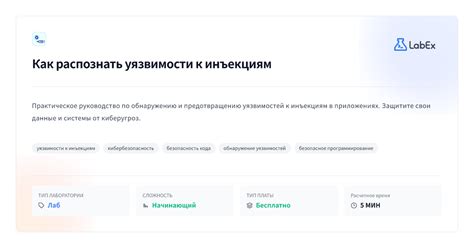 Обнаружение уязвимостей к инъекциям практическое руководство labex