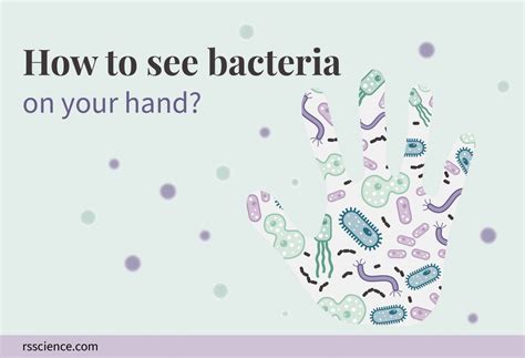 How To See Bacteria On Your Hand Bacteria Handprint Rs Science